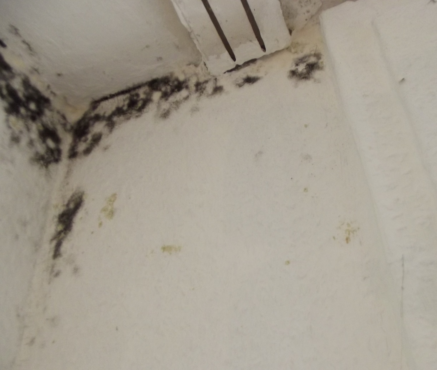What is mould?